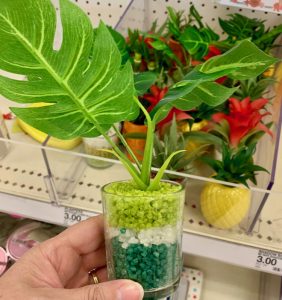 New Tropical Target Dollar Spot for Summer | All Things Target