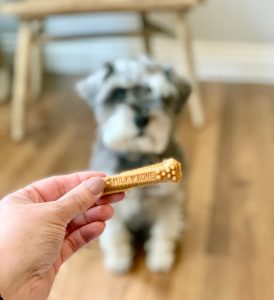 Target Closed Thanksgiving Day 2020 | All Things Target