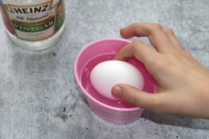 Bouncing Egg Experiment | All Things Target